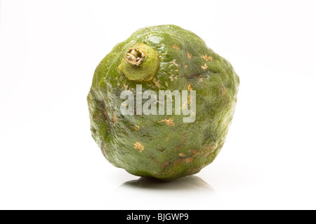 Ugly Fruit or Jara Lemon isolated on white background Stock Photo - Alamy