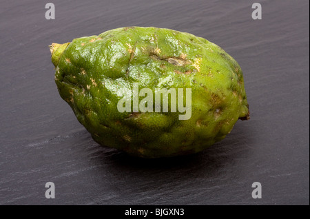 Ugly Fruit or Jara Lemon isolated on white background Stock Photo - Alamy