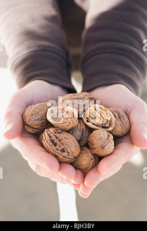 Hands holding walnuts FoodCollection Stock Photo - Alamy