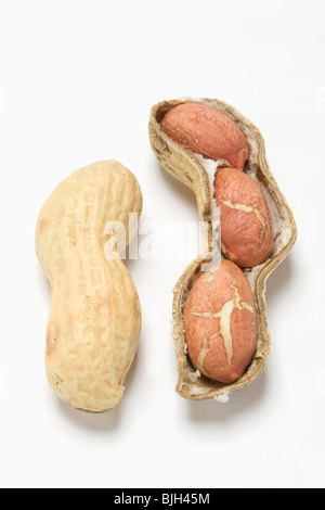 Peanut in and out of the shell Stock Photo - Alamy