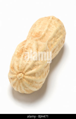 One single peanut Stock Photo - Alamy