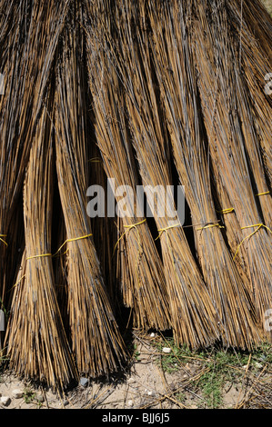 Thatching grass drying on the roadside in the Duiwenhoks River region ...