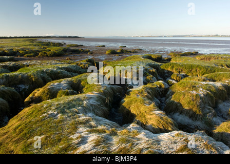 Solway Firth salt Marsh estuary in Cumbria situated in North West ...