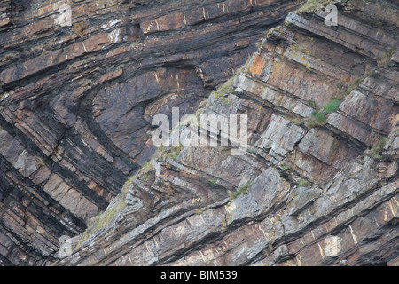 Cornwall sea cliff s at millock haven interesting zig zag rock ...