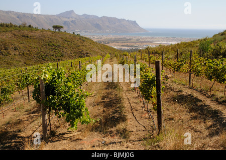Waterkloof, , ZA, South Africa, Western Cape, S 33 41' 13'', N 20 32 ...