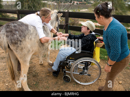 A disabled teenaged boy in a wheelchair receiving asinotherapy - donkey ...