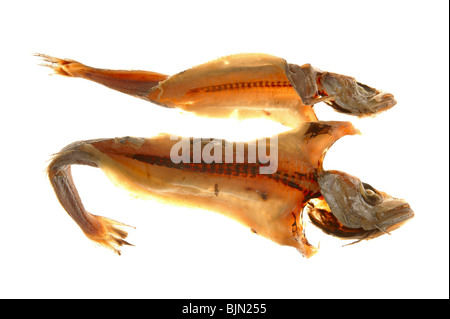 Dried salted hake fish over white background Stock Photo - Alamy