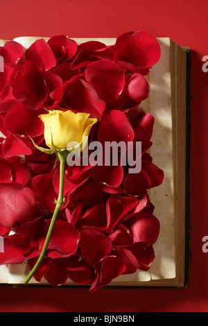 Vintage paper red natural rose feather on wooden board Stock Photo - Alamy