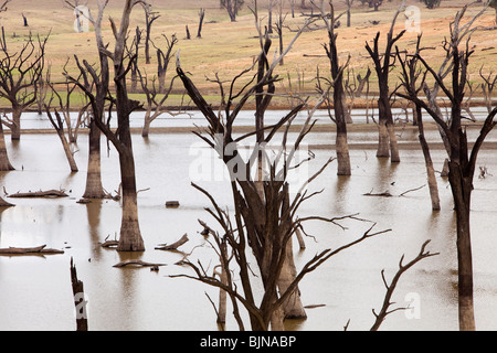 Low Water Levels at Lake Hume Stock Photo - Alamy