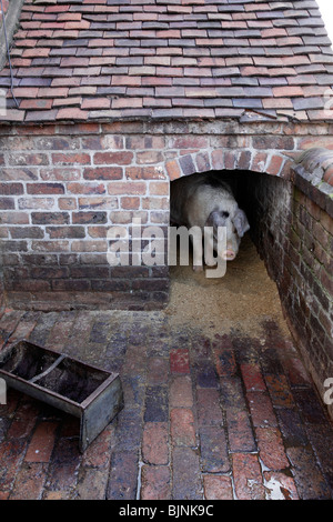 old brick built pigsty Stock Photo - Alamy