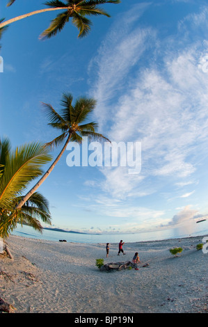 Palm Trees in Chuuk, Micronesia Stock Photo - Alamy