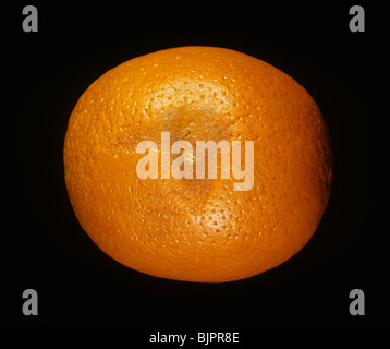Green mould Penicillium digitatum storage fruit rot on an orange Stock ...