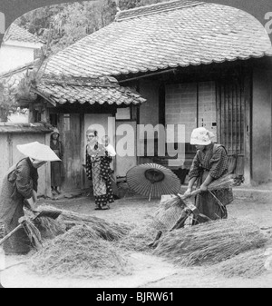 [ 1900s Japan - Japanese Farmers Threshing Rice ] — Rice cultivation in ...