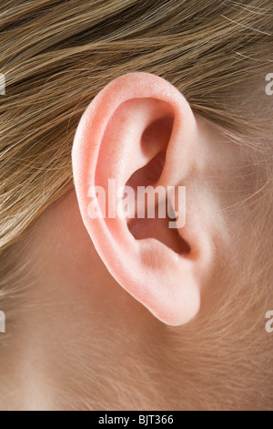 Anatomy of the human ear Stock Photo - Alamy