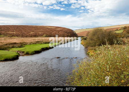 An Exmoor view looking west up the River Barle from Landacre Bridge, W ...