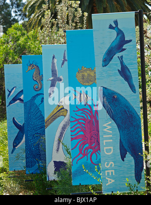 Animals at Melbourne Zoo Stock Photo - Alamy