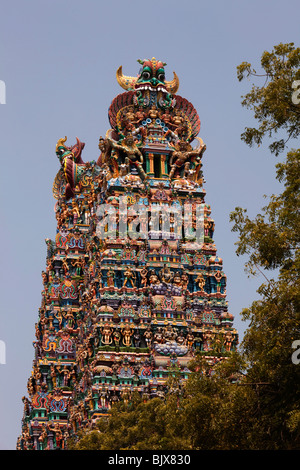 India, Tamil Nadu, Madurai, Trees in front of Sri Meenakshi Temple ...