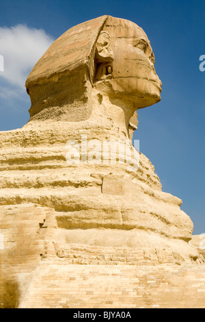 Head of the Great Sphinx at Giza seen from the Sphinx Enclosure, Cairo ...