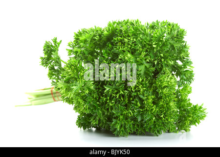 Parsley bunch isolated on white background.. Parsley leaves Stock Photo ...