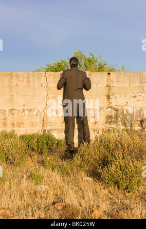 Rear view of businessman looking at wall with business sketches Stock ...