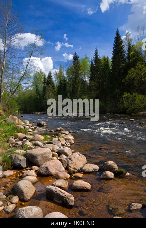 River Amata, Gauja National Park, Latvia, Baltic States, Europe Stock ...