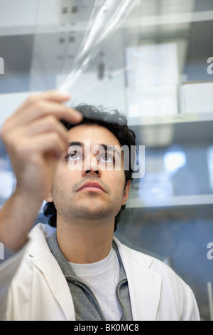 Young hispanic man scientist holding test tubes at laboratory Stock ...