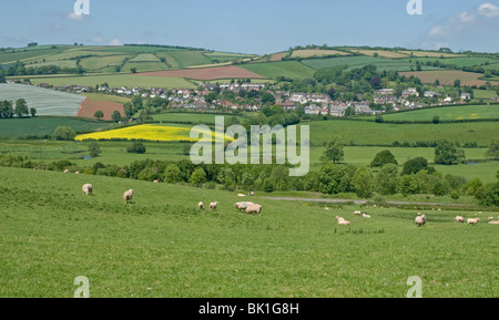 Looking across the Culm Valley towards the central Devon town of ...