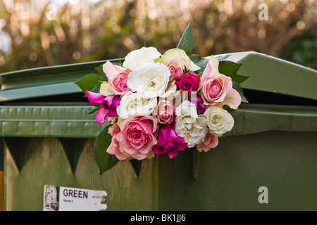Roses in a rubbish bin Stock Photo - Alamy