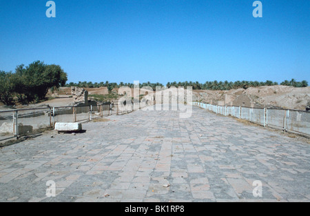 The Processional Way, Babylon, Iraq, 1977 Stock Photo - Alamy