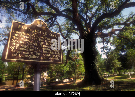 Louisiana, St. Martinville, Evangeline Oak Park, Evangeline Oak Tree ...