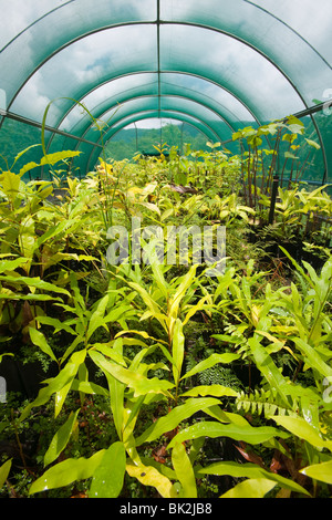 The Headquarters of the Australian Rainforest Foundation in the ...