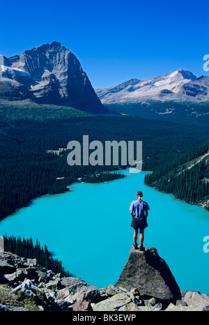 Hiker overlooking Lake O'Hara from Huber Ledges Stock Photo - Alamy