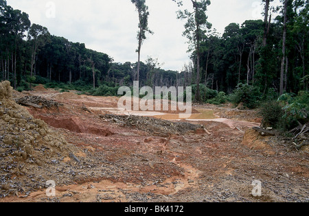 Water pollution and deforestation from placer gold mining in Estado ...