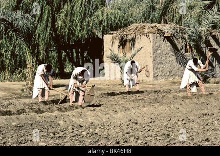 Slaves in ancient Egypt constructing monuments and buildings Stock ...