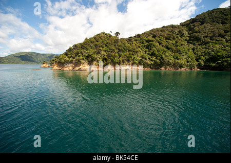 Motuara Island Bird Sanctuary, Marlborough Sounds, New Zealand Stock ...