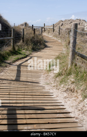 Peaceful sandy beach pathway leading through dunes under a dramatic sky ...