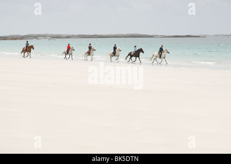 tourists riding Connemara Ponies at a beach in Ballyconneely during ...