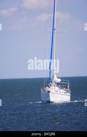 CREW SAILING LARGE SAIL BOAT SAIL DOWN COMING INTO HARBOR Stock Photo ...