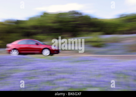 Vehicle driving past field of flowers Stock Photo - Alamy