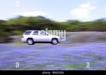 Vehicle driving past field of flowers Stock Photo - Alamy