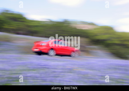 Vehicle driving past field of flowers Stock Photo - Alamy
