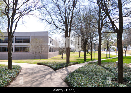 Frito-Lay headquarters office building courtyard with man-made ...