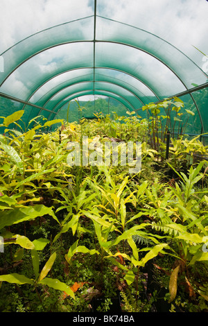 The Headquarters of the Australian Rainforest Foundation in the ...