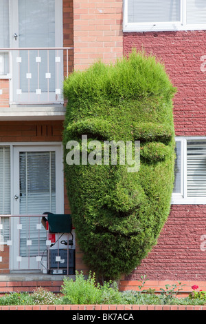 Topiary trees outside a block of flats in Hawthorn, Melbourne, Victoria ...