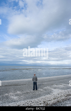 High-angle view of the Firth of Thames, from the Manaia Road on the ...