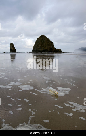 Single use plastic container washed up on beach, packaging pollution of ...