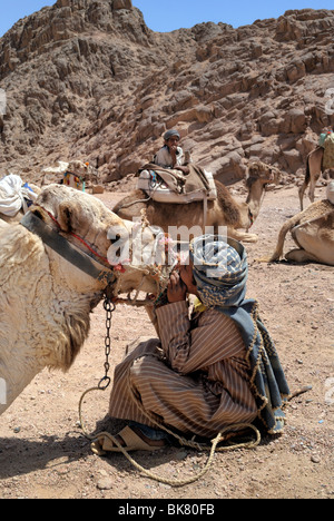 Young Egyptian nomad boy with his camel Stock Photo - Alamy