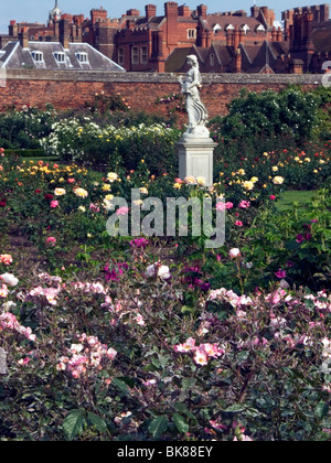 The Rose Garden at Hampton Palace. London. UK Stock Photo - Alamy