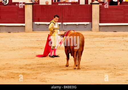 Bullfighter, matador, with a scarlet cape, muleta, and sword, estoque ...