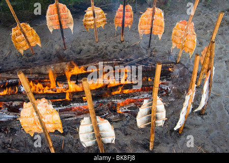 Traditional Native American Indian Salmon Fish Trap Weir on River ...